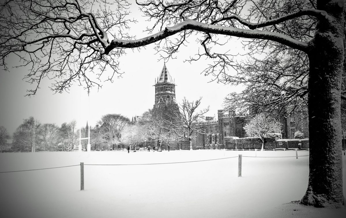 Cold snaps: Rugby snuggles up for snowed-in Sunday - The Rugby Observer