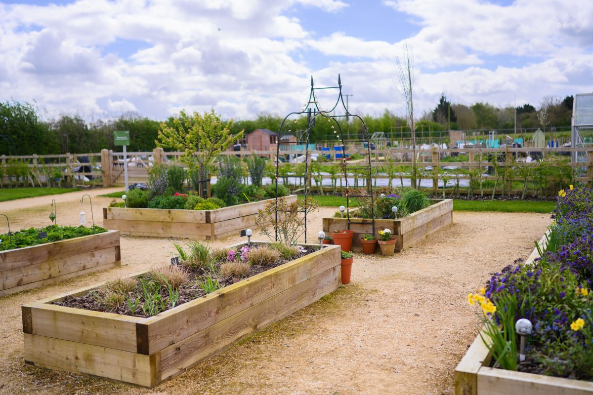 Donation helps green-fingered residents' garden to grow - The Rugby ...