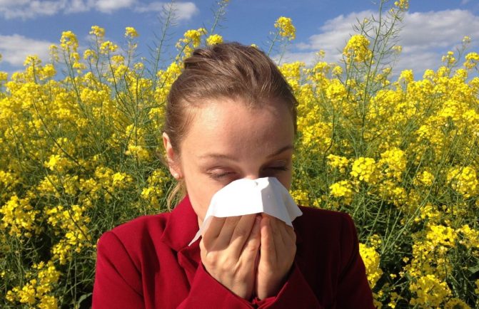 Hay fever season in the UK lengthens as climate patterns shift - The ...
